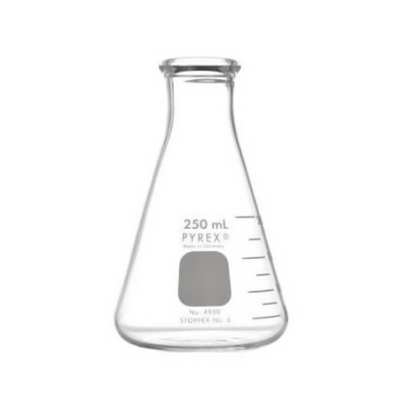 MATRAZ ERLENMEYER 250 ML PYREX